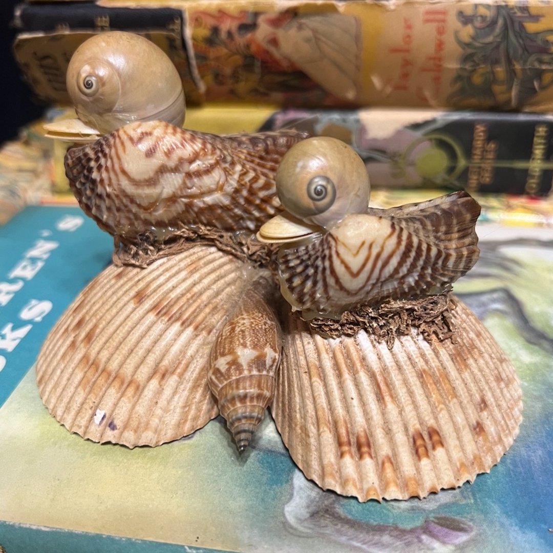 The Sweetest Shell Sculpture Ever! Ducks At The Beach :) ~4.75x3x3