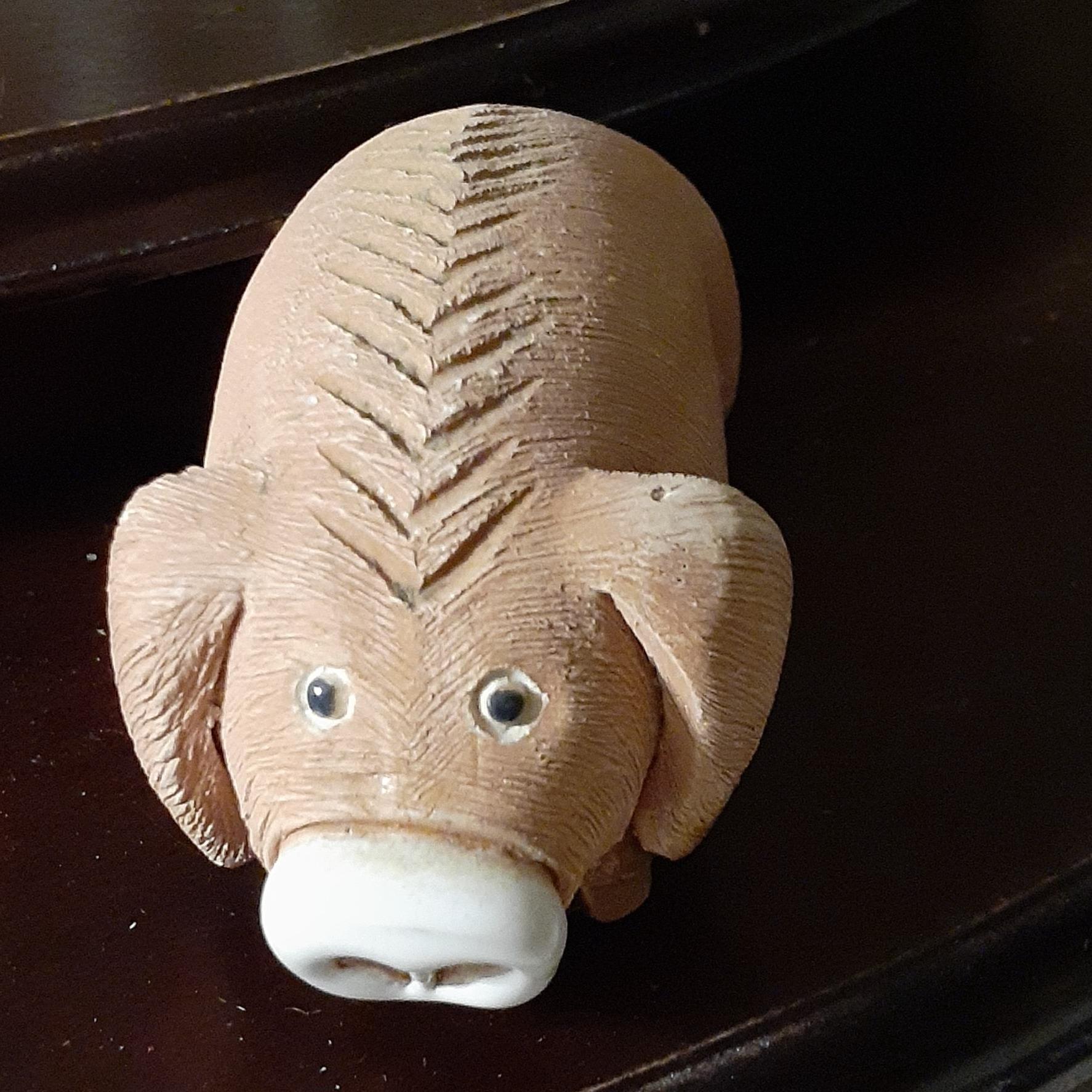 Artosonia Rinconada Anotomically Correct Pig