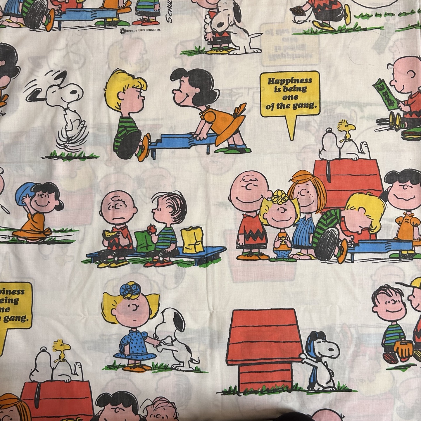 Vintage 1971 Peanuts Snoopy Charlie Brown Twin Flat Sheet