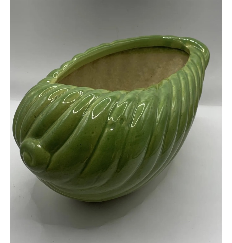 Large Conch Sea Shell Pottery Planter