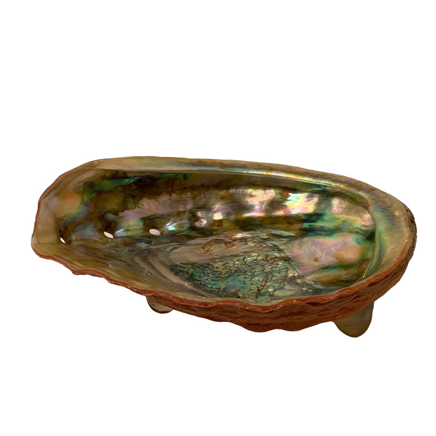 8” Natural Abalone Shell Trinket Dish