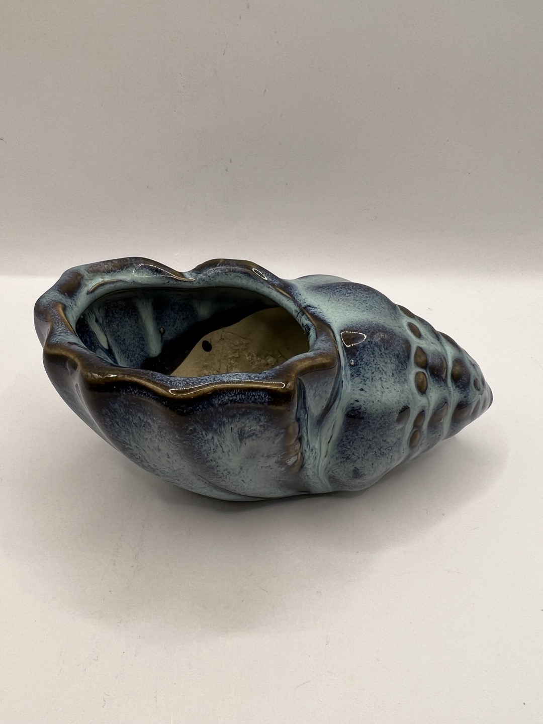 Pottery Shell Small Air Plant Planter Blue Glaze