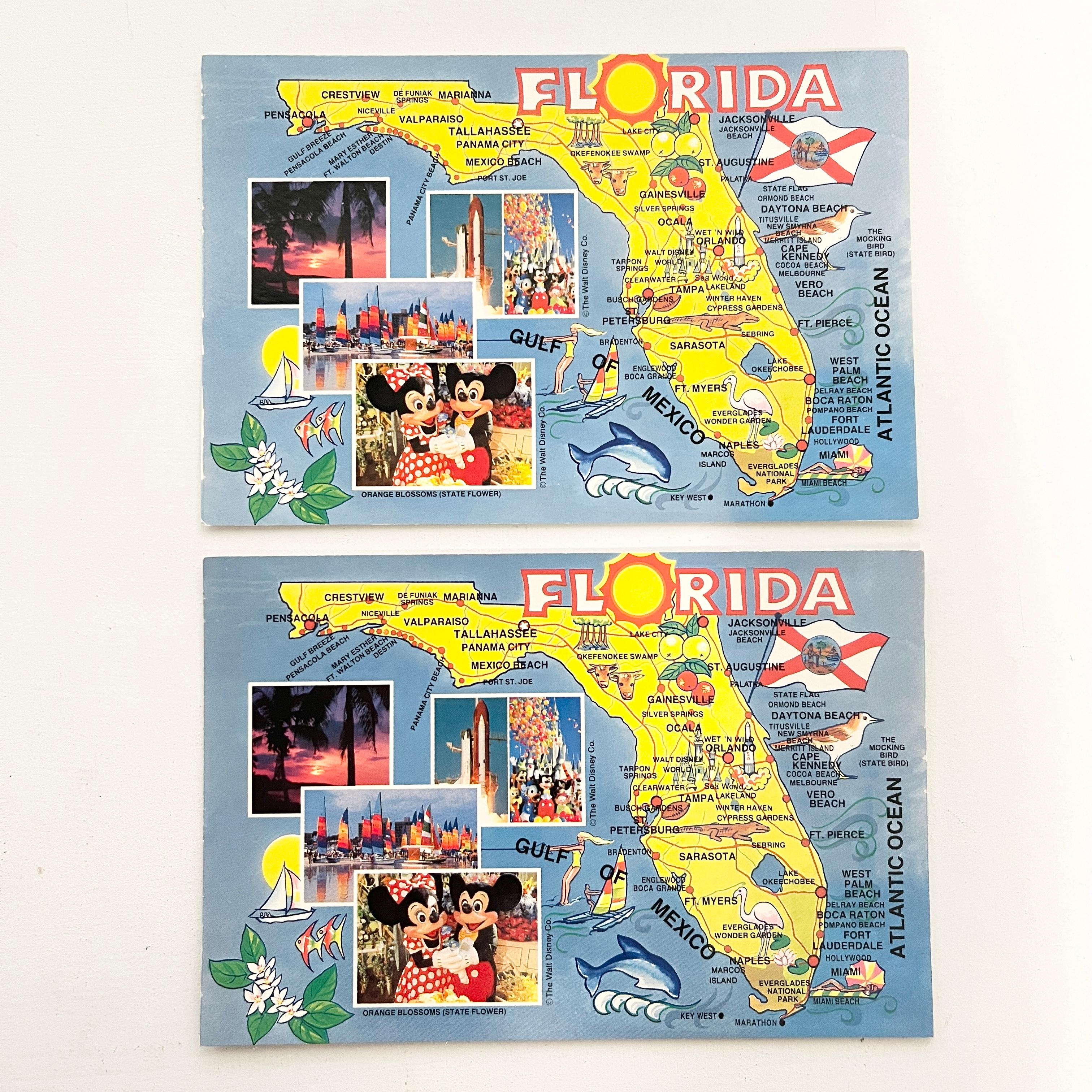Florida State Map Postcards Flower Bird Flag USA Vintage 1980s