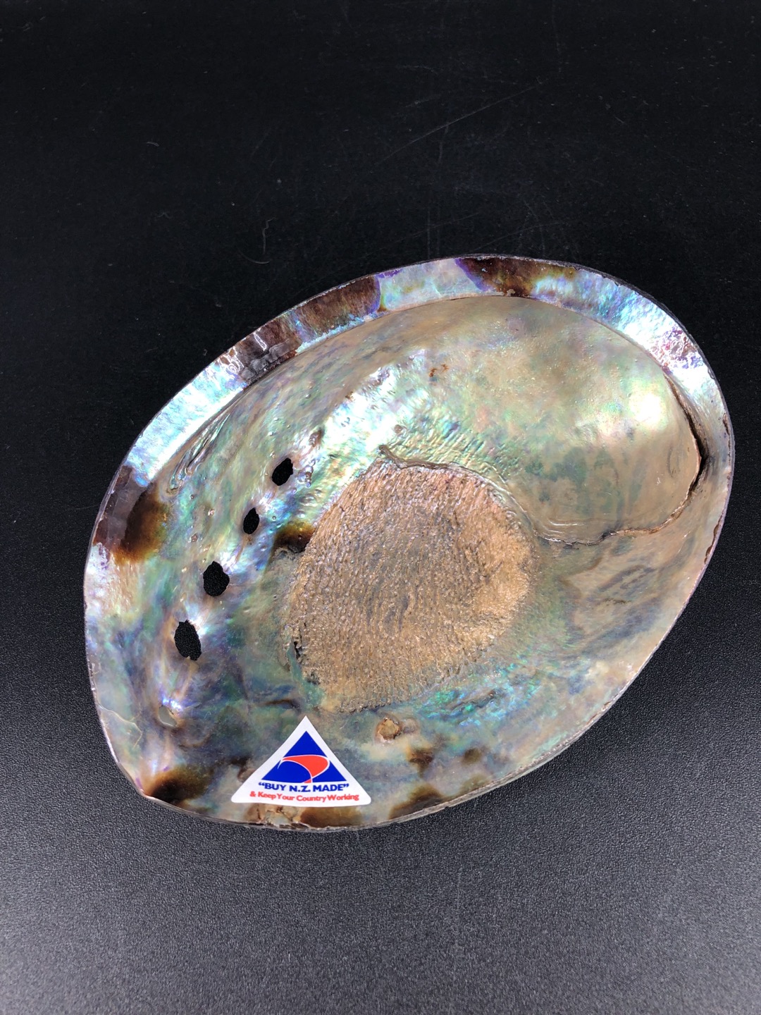 Genuine Abalone Shell