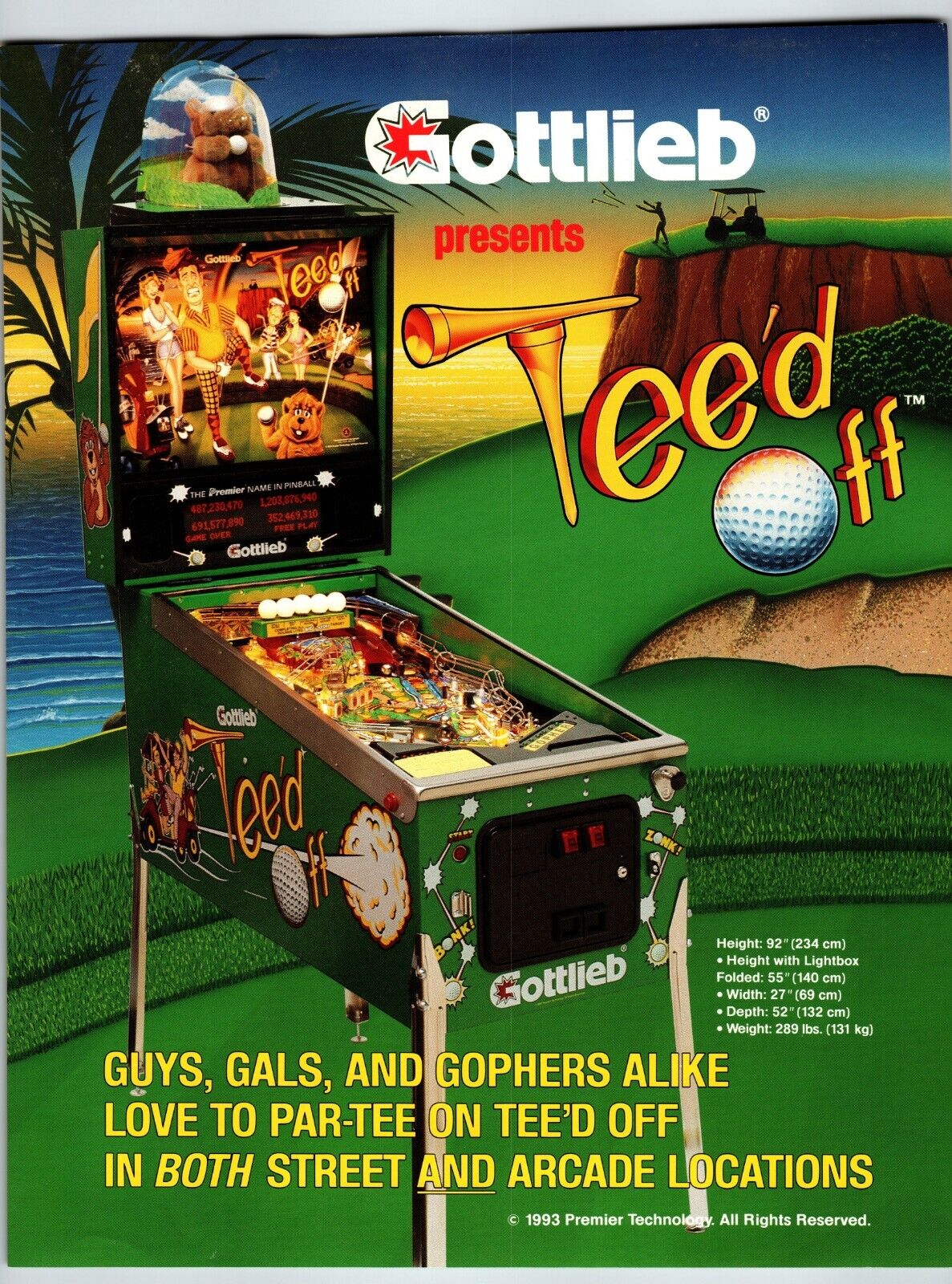 Tee'd Off Pinball Machine FLYER Original 1993 Golf Sports Retro Game 8. ...