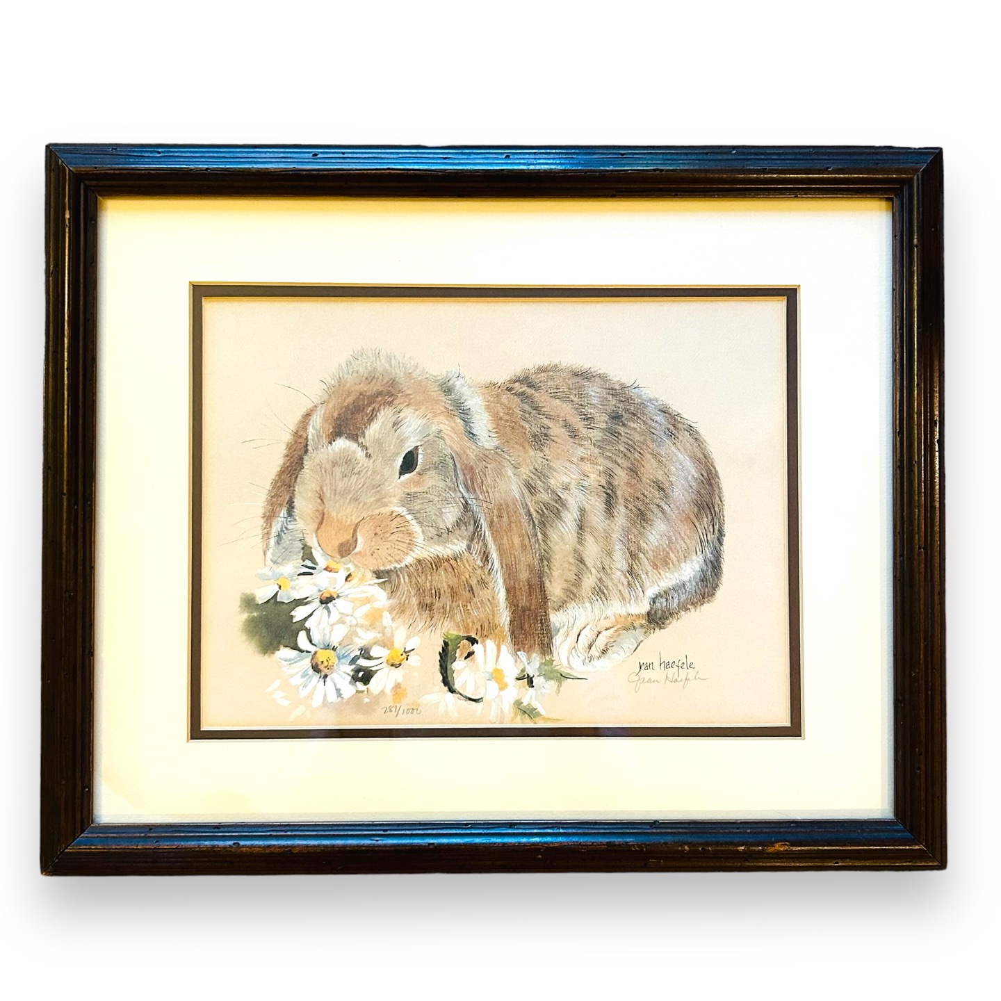 Jean Haefele Lop Eared Bunny Rabbit Framed Print