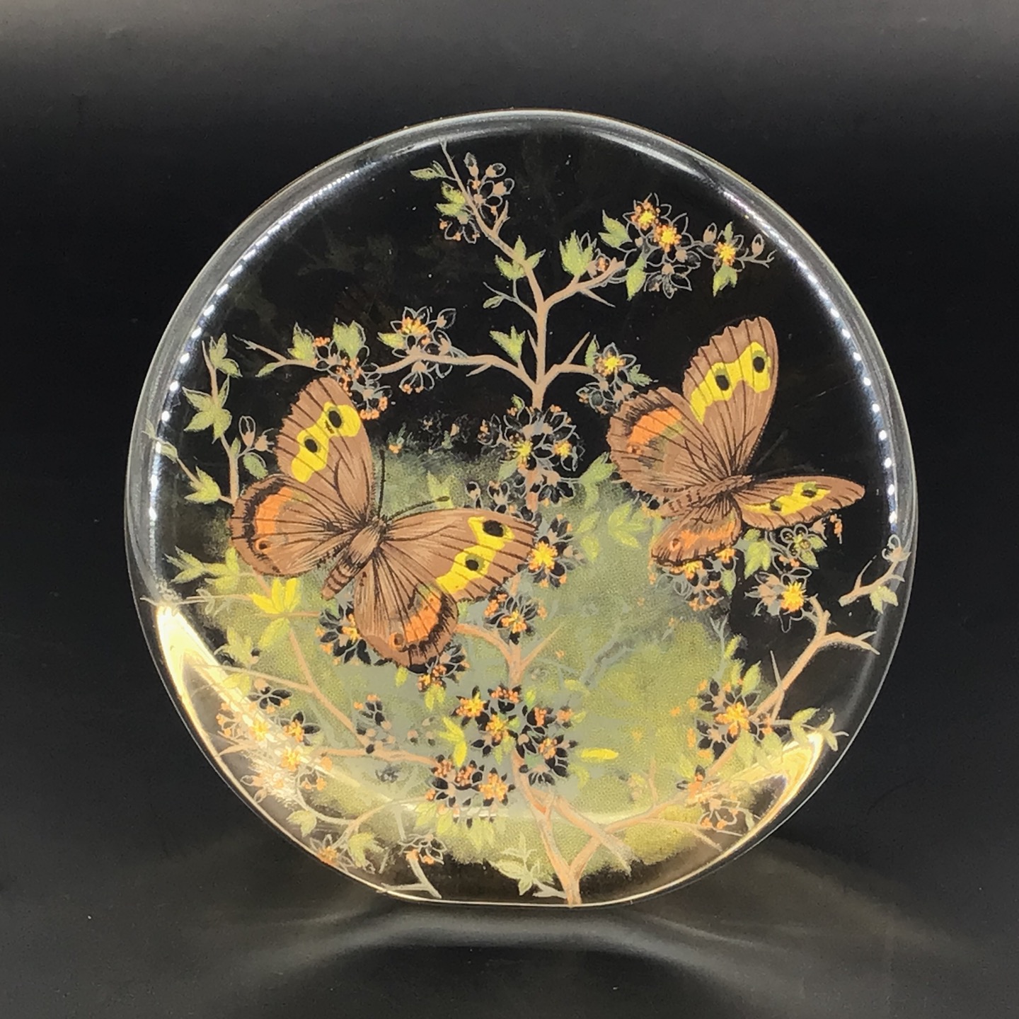 Vintage Glass Butterfly Wedge Paperweight