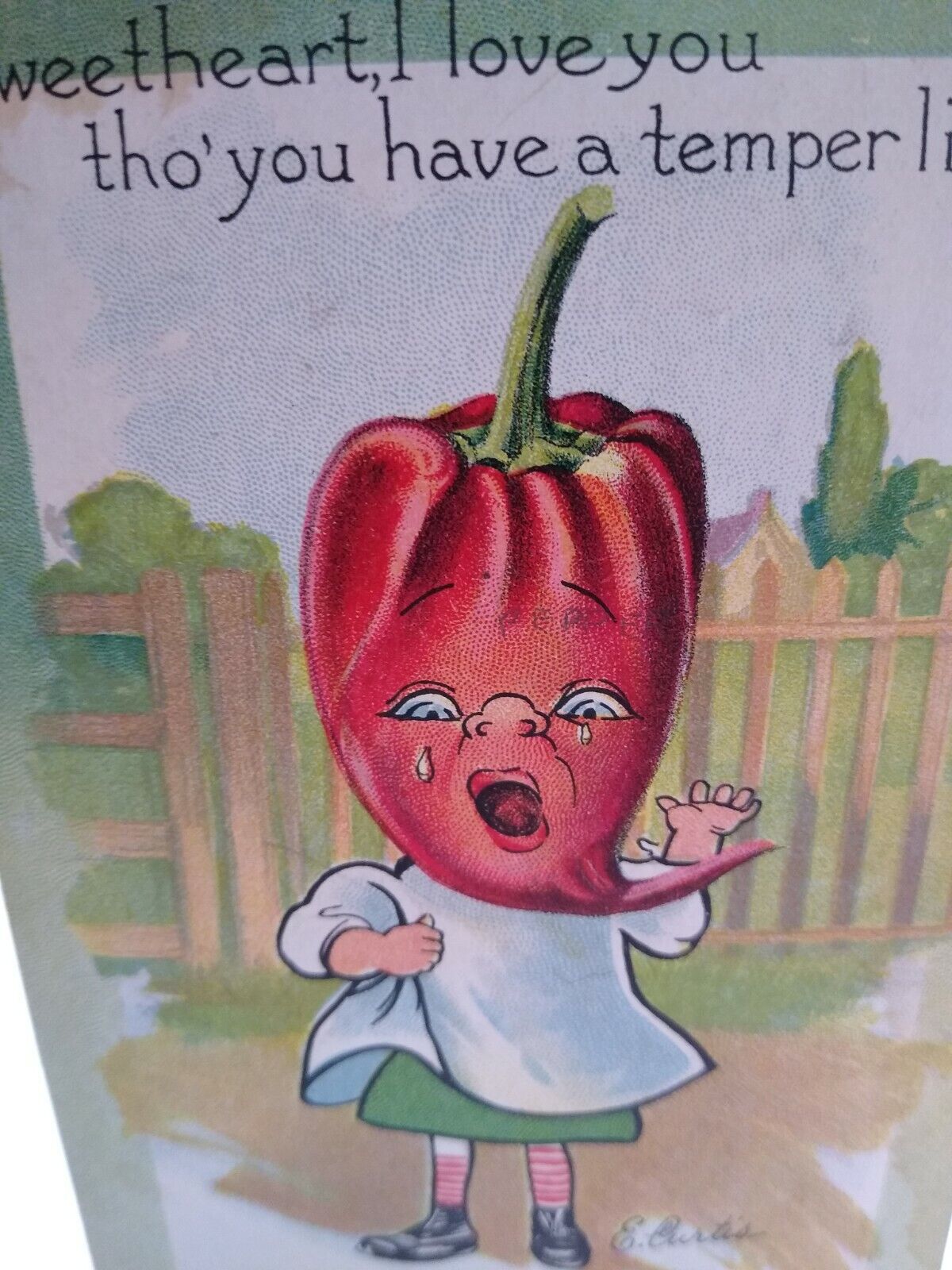 Valentine Postcard Anthropomorphic Red Pepper Face Sweetheart E Curtis Series 2