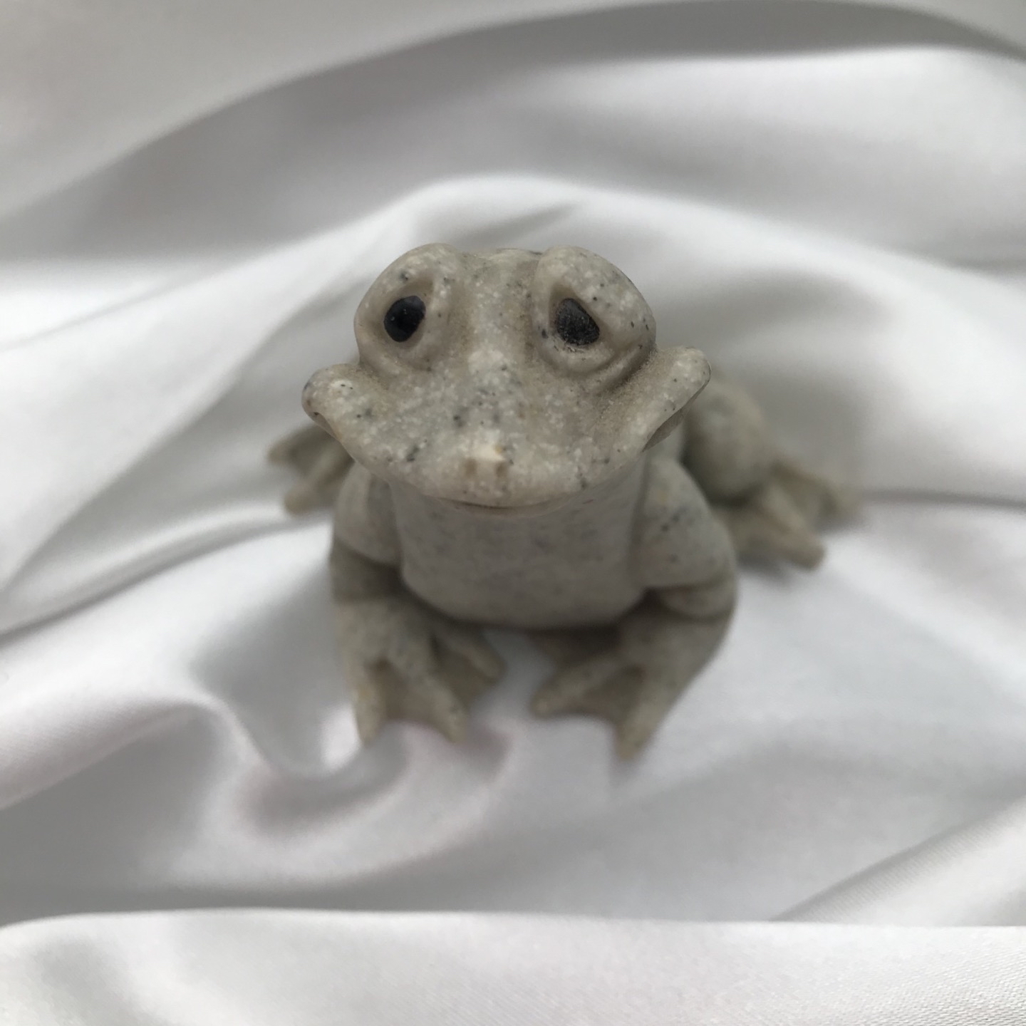 Quarry Critters Frog