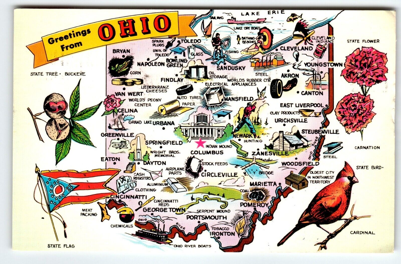 Ohio Map Postcard Chrome Cardinal Bird State Flower Carnation Flag 1953 ...