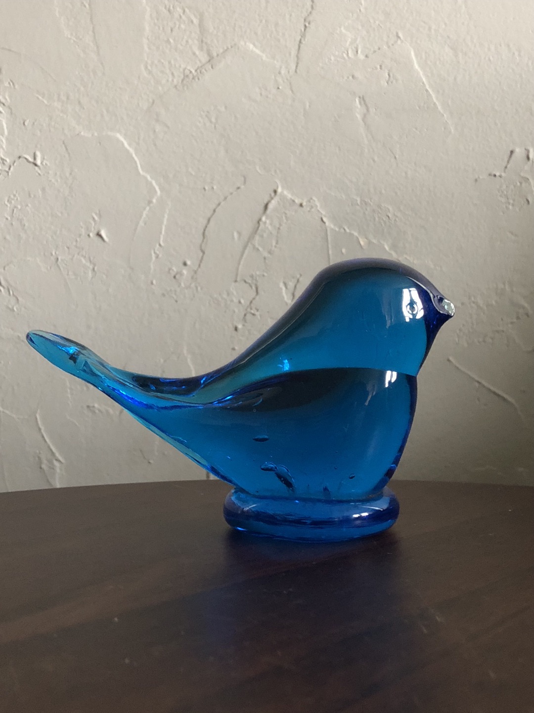 Blue Bird Of Happiness 5.5” x
