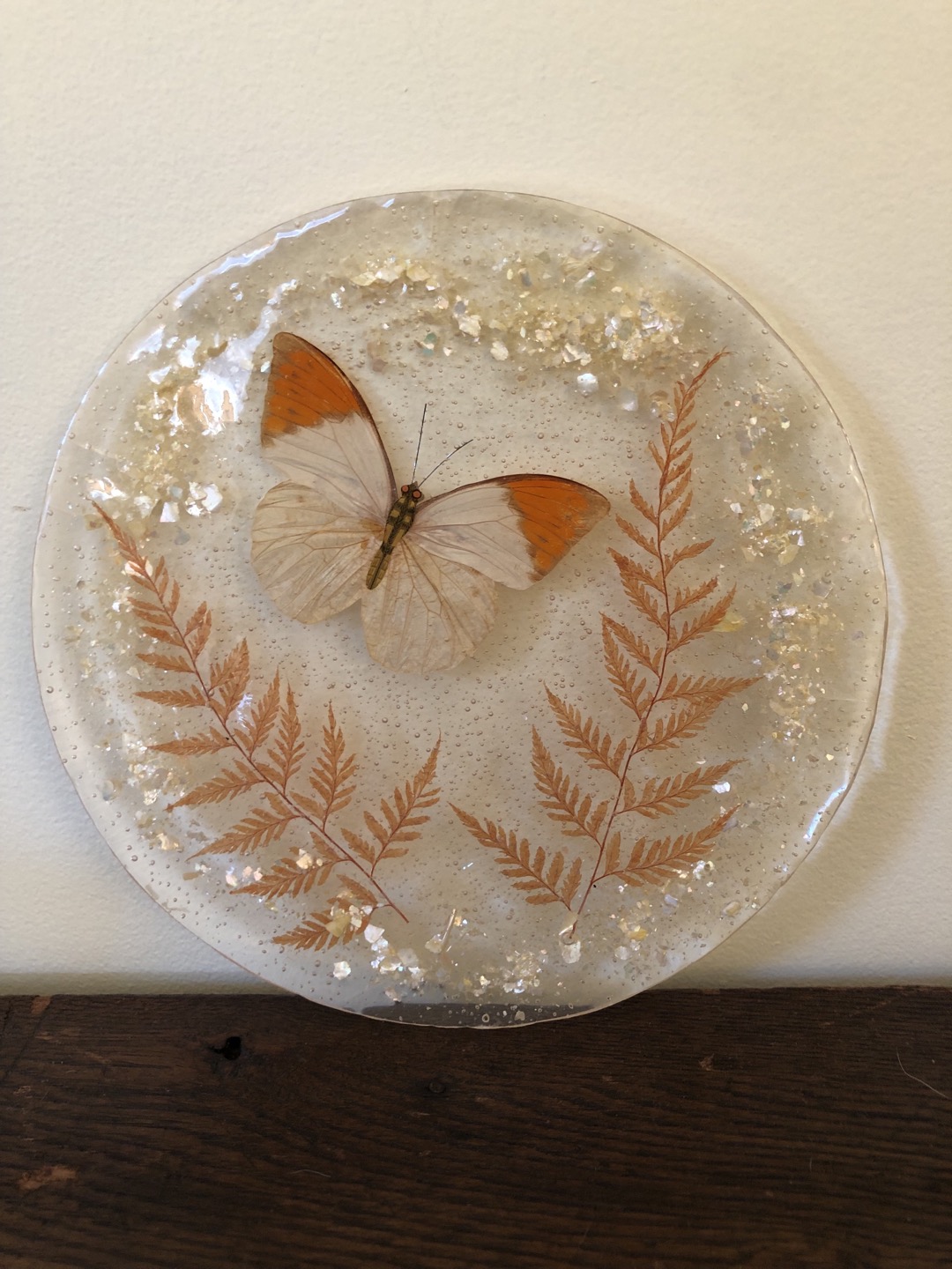 Vintage MCM Lucite Acrylic Plate Pressed Butterfly