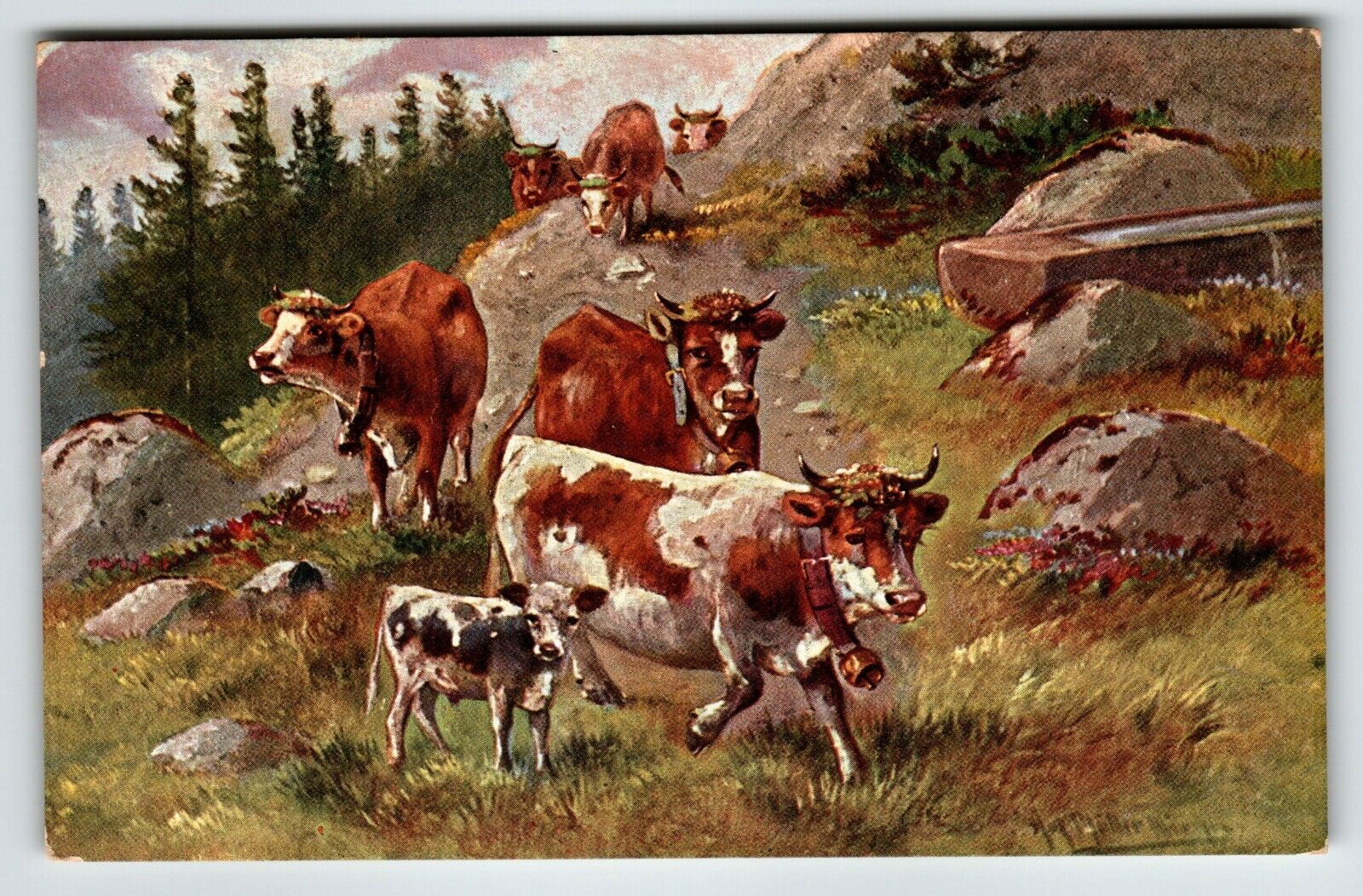 Postcard Cows Animals Rustic Mountains Rocks HKM Serie 228 A Muller Germany