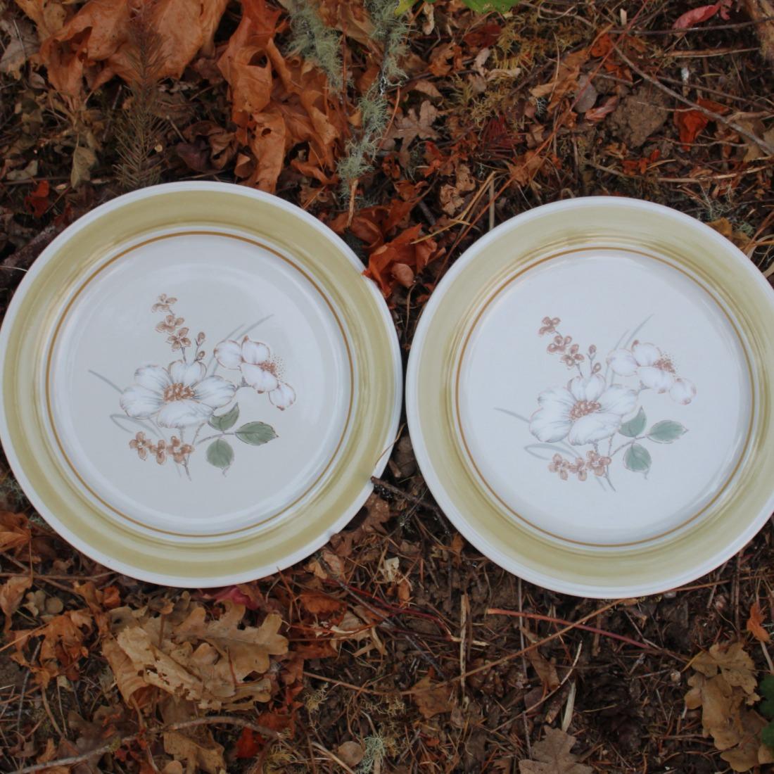 2-Hand painted, Wild white Roses, Oven to table, 10.5 inch, stone ...