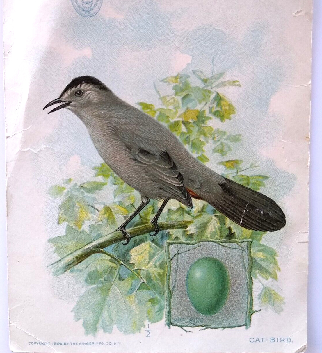 American Singer Sewing Machine Series Victorian Trade Card Cat-Bird Egg 1899