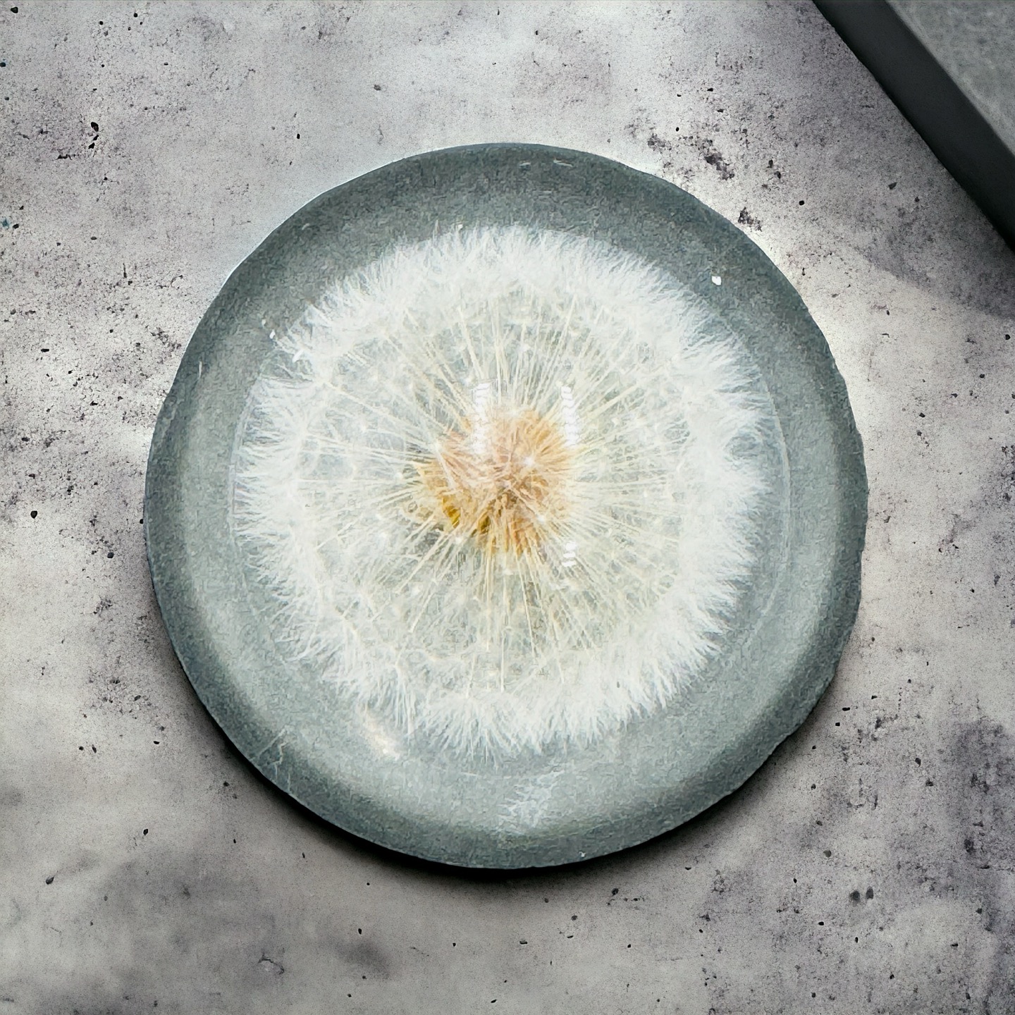 Lucite Paperweight with Dandelion Puff Signed W Rolfe Vintage