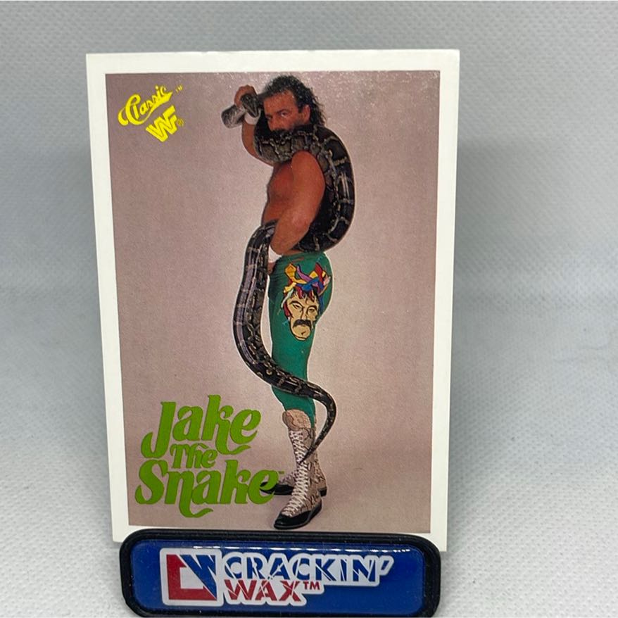 1990 Classic WWF Jake The Snake Roberts #7