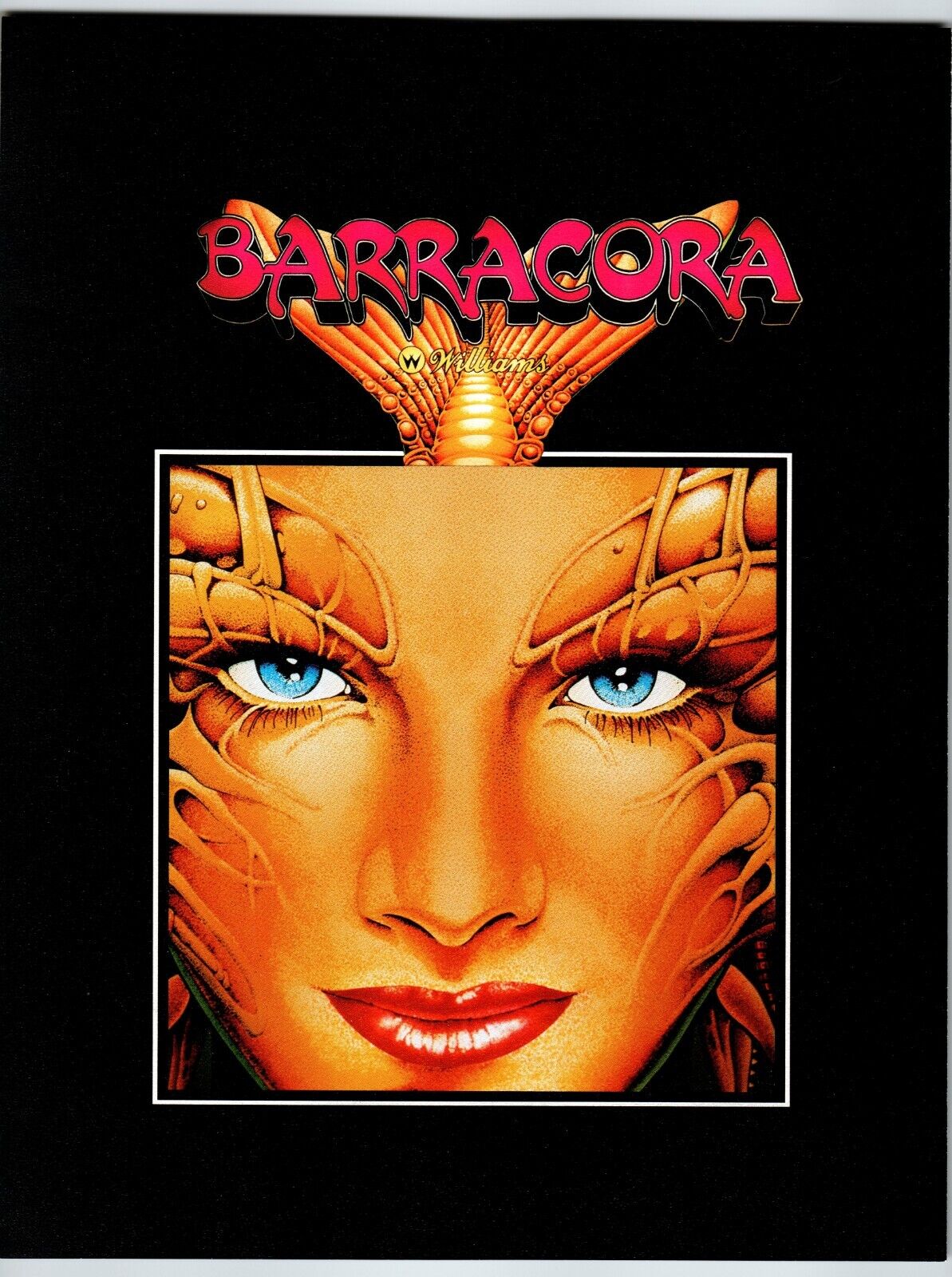 Barracora Pinball Machine FLYER Original 1981 Retro Fantasy Game 8.5" x 11"