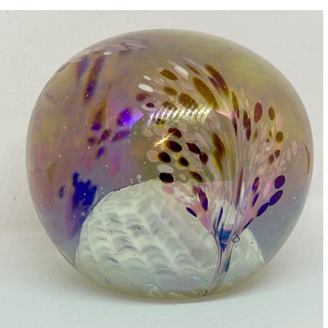 The Glass Eye studio MSH 1985 Signed Paperweight Iridescent