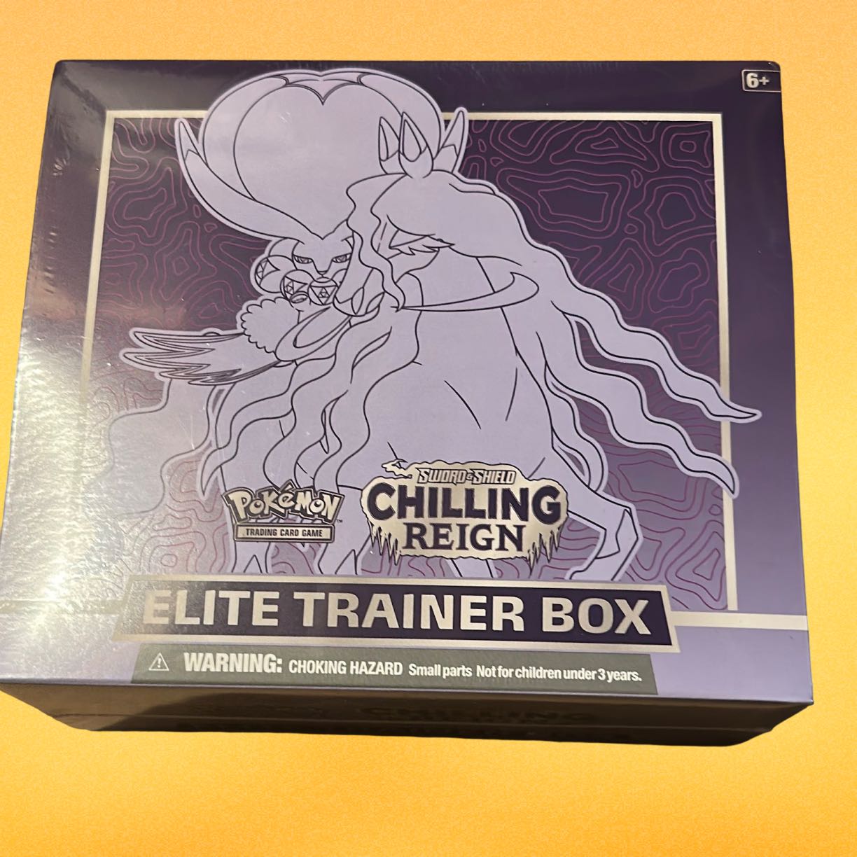 Pokémon Chilling Reign ETB