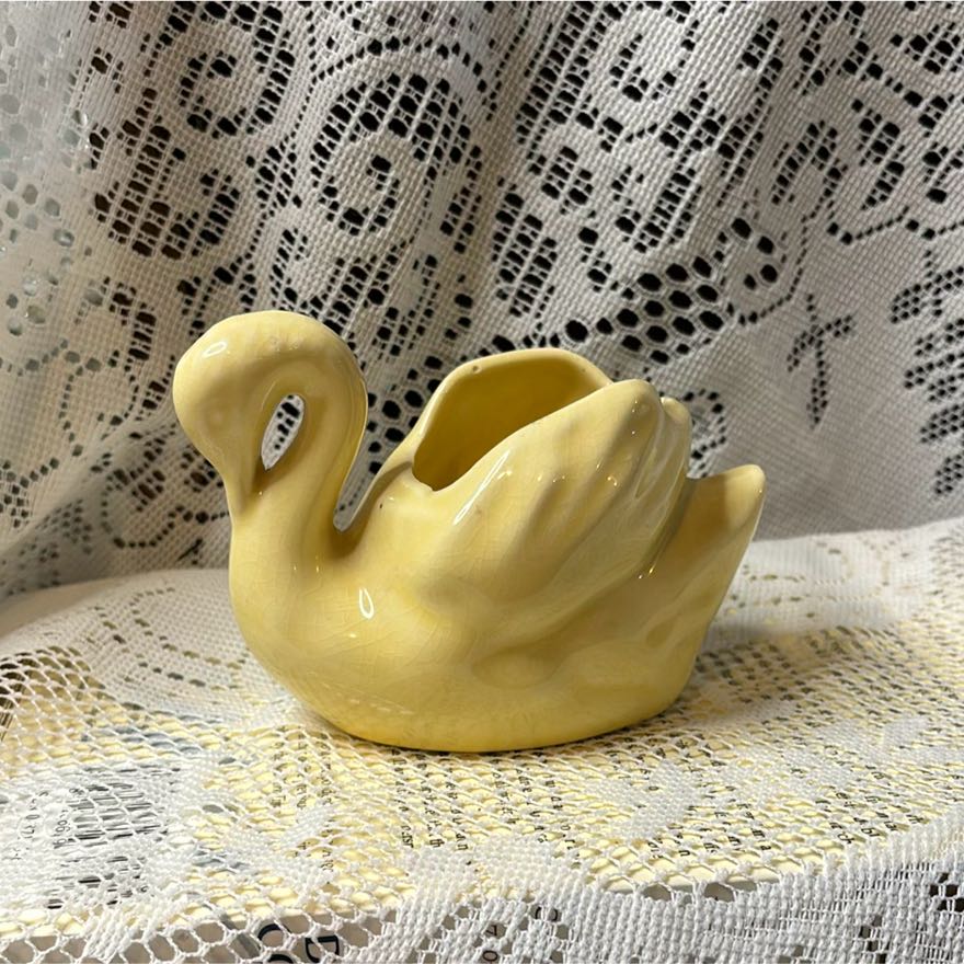 Small Yellow Swan