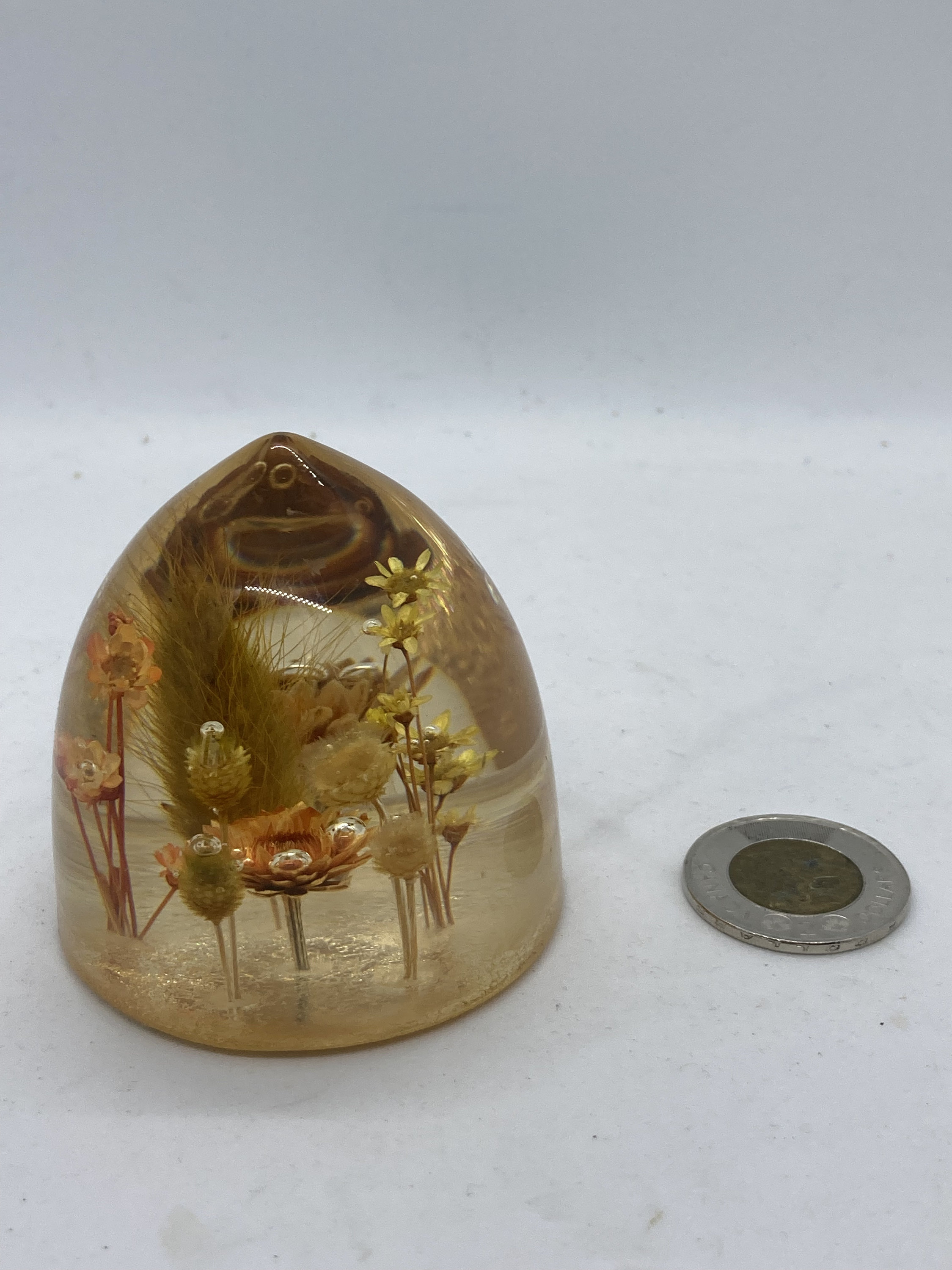1970s Lucite Paperweight Dried Flowers Canada