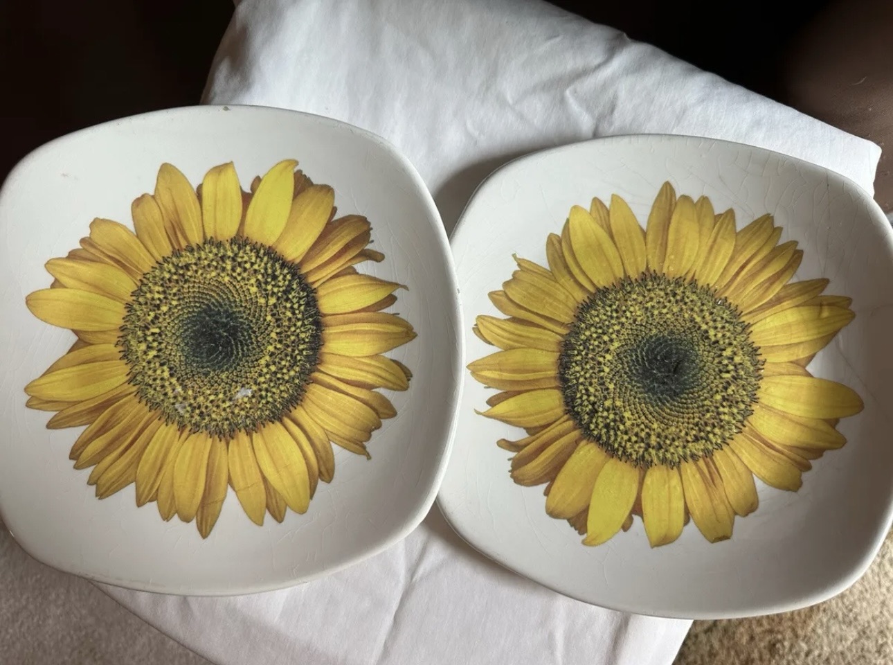 Ceramica Due Torri Sunflower Plates Made In Italy